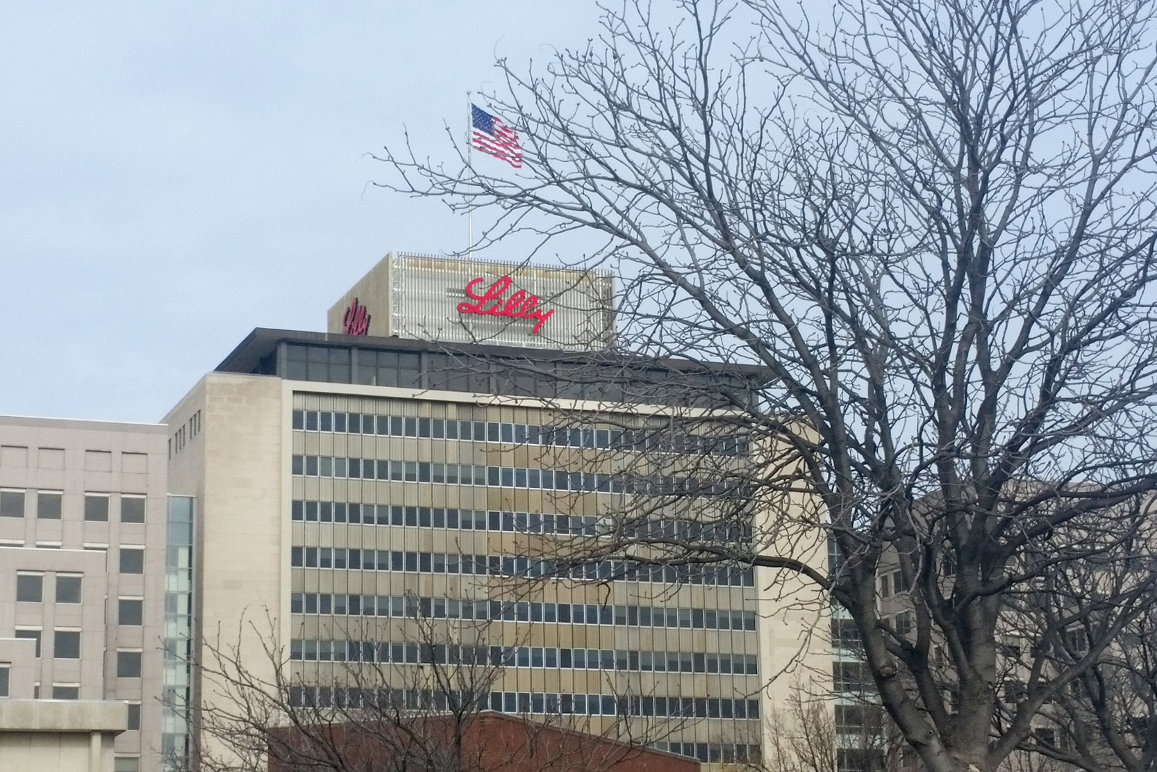Eli Lilly Acquires Dermatology Pharmaceutical Company Dermira For $1.1 ...